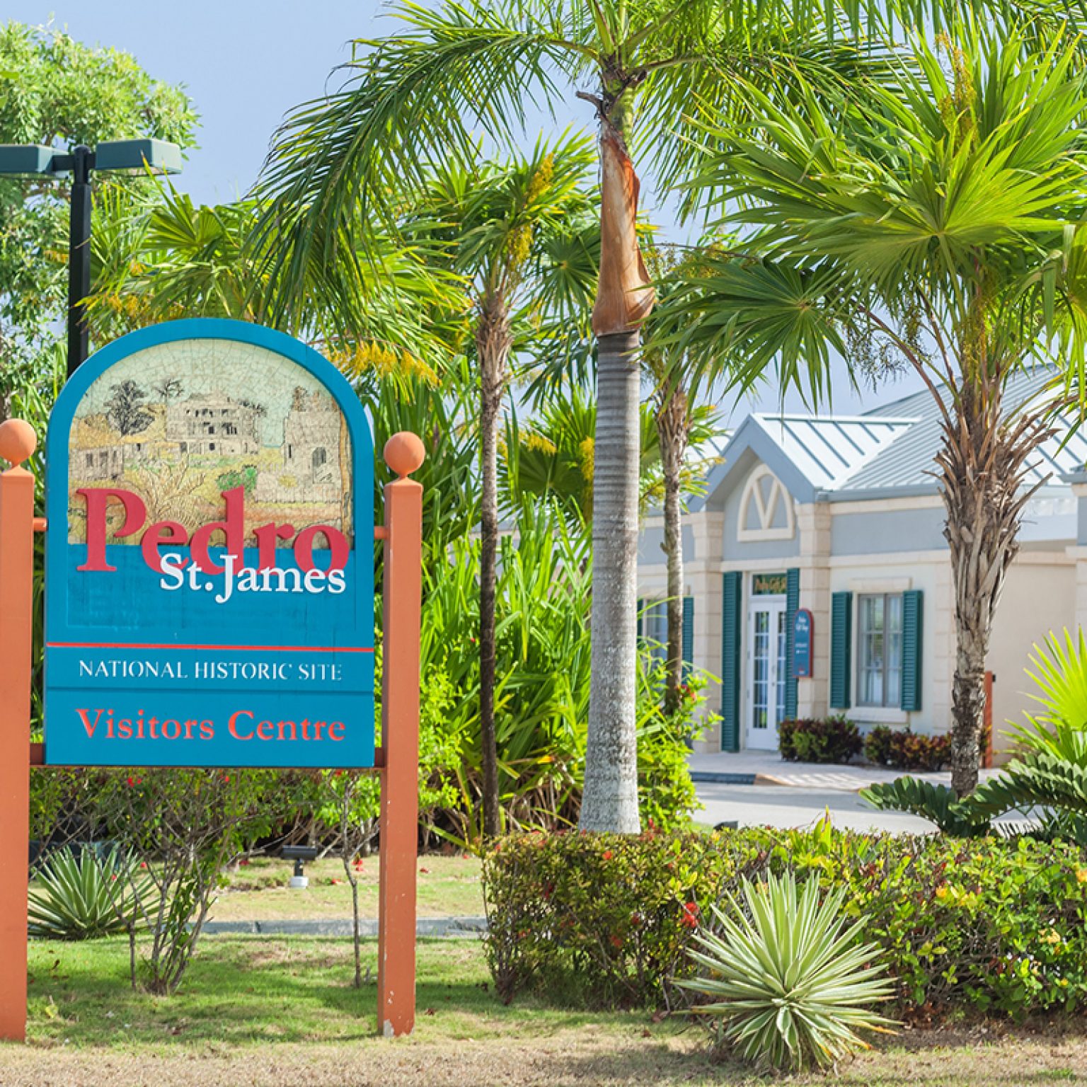 Our History | Pedro St. James